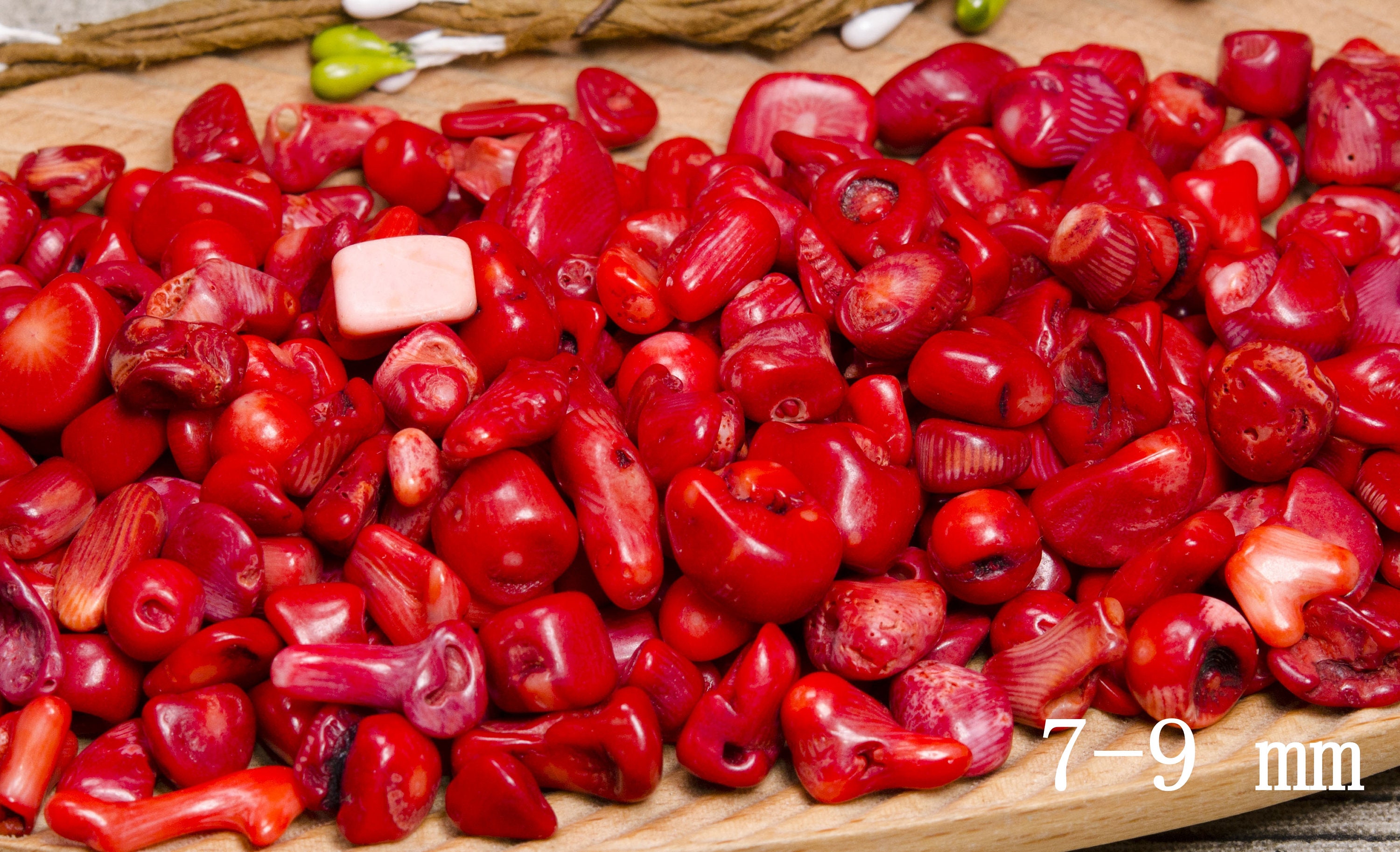 Wholesale Natural Red Coral Crystal Stonered Coral - Etsy