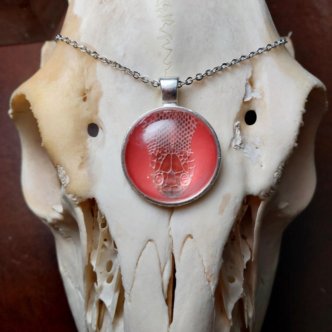 Snake Head Pendant, Snake Shed Skin Pendant, Garter Snake Jewelry, Red ...