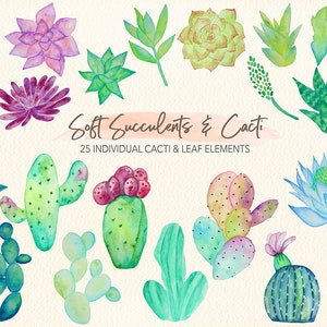 Watercolor Cacti & Succulents, Cactus Clipart, Floral Clipart, Hand ...