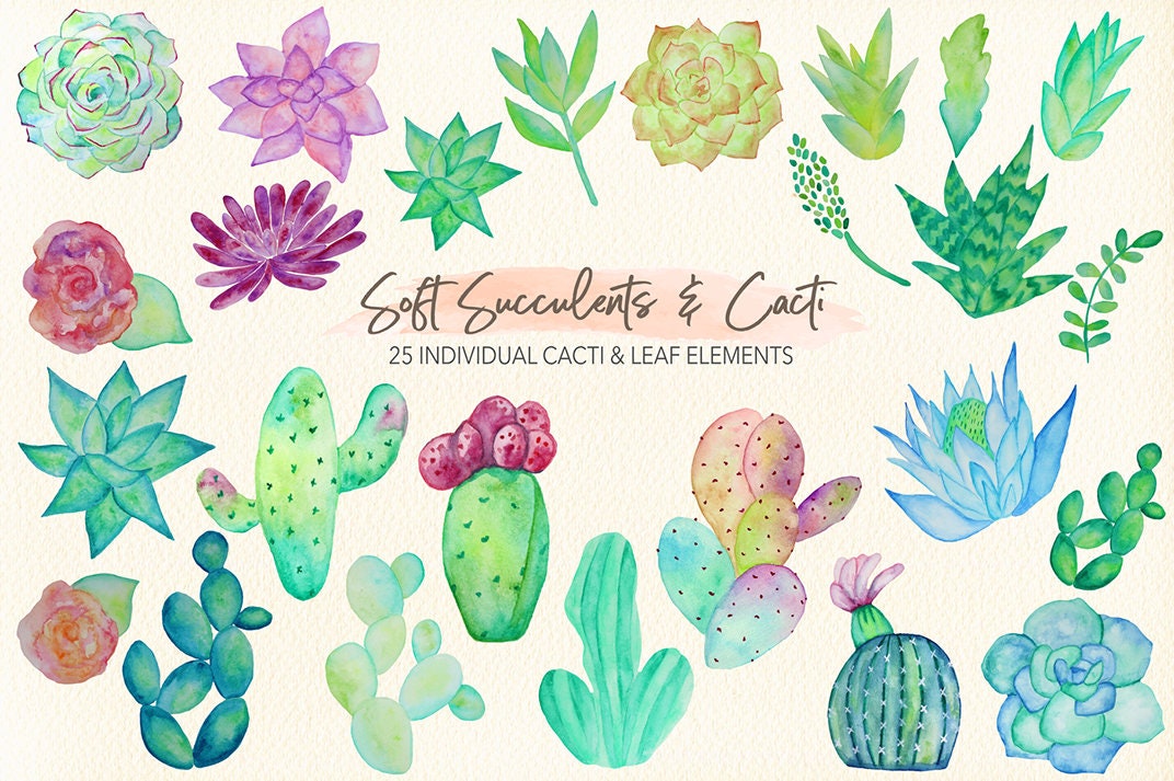 Watercolor Cacti & Succulents, Cactus Clipart, Floral Clipart, Hand ...