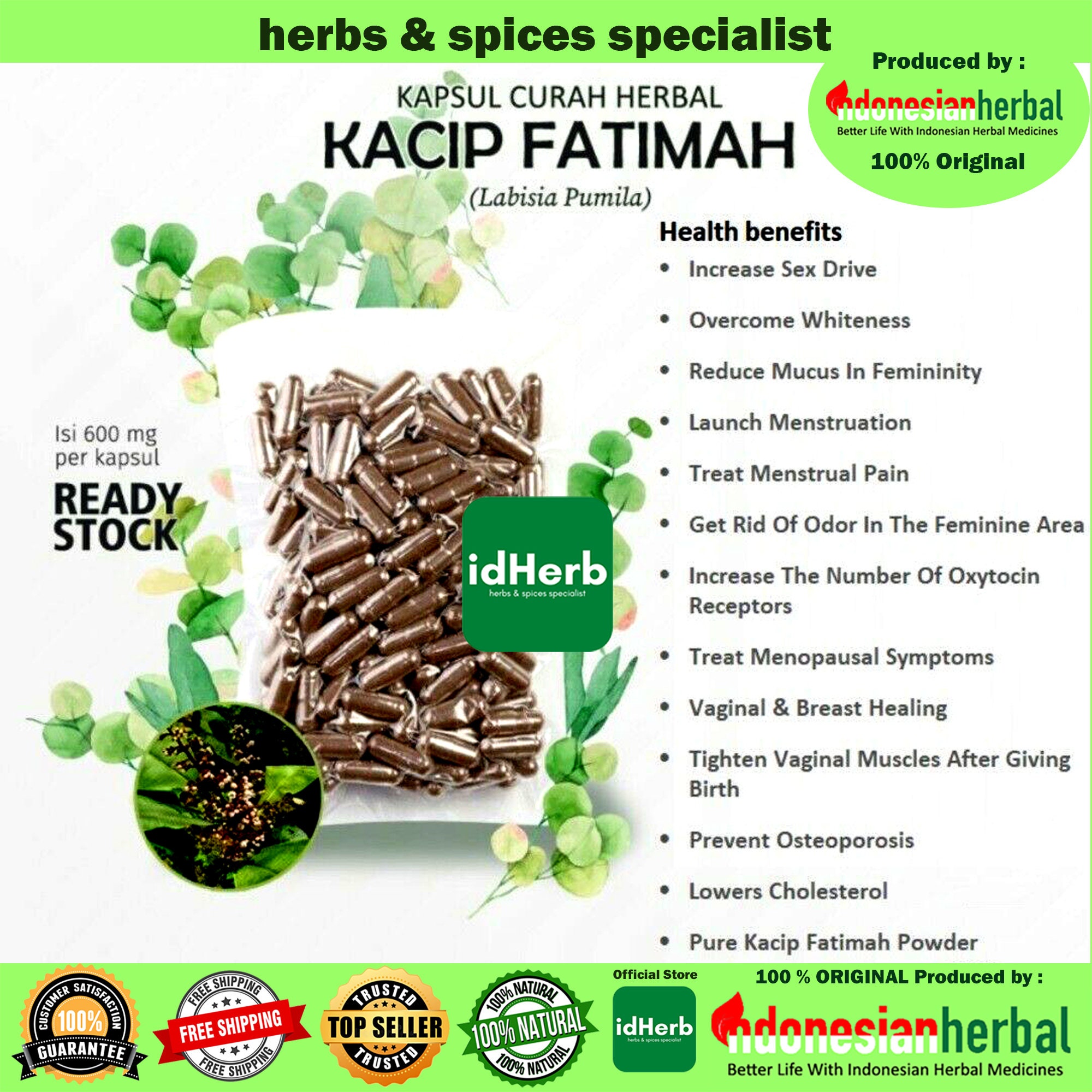 100-500 CAPSULES Kacip Fatimah Labisia Pumila 600mg for Health All ...