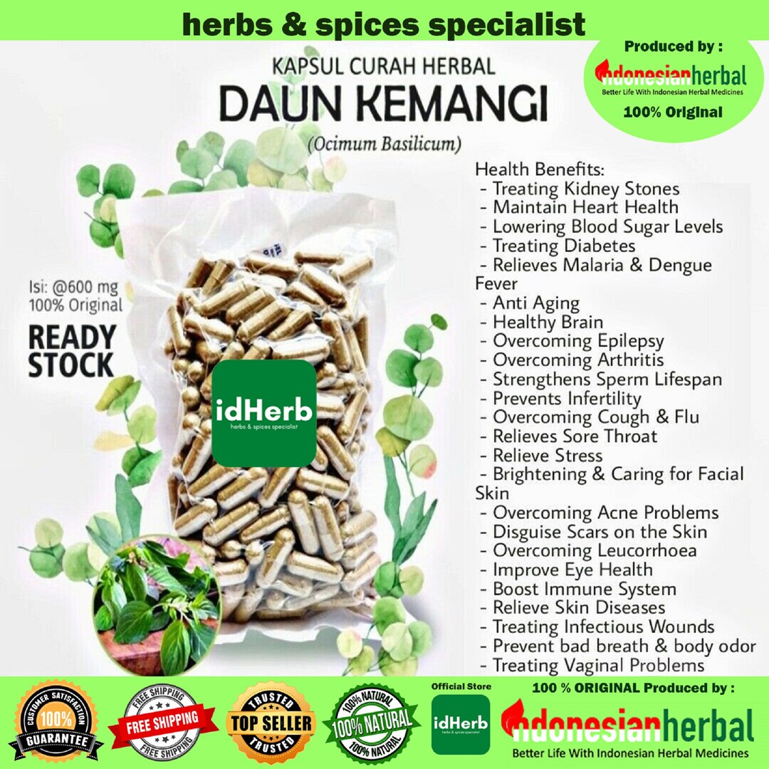 100-500 CAPSULES Ocimum Basilicum Kemangi @600mg Herbal Capsules All ...