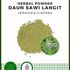 POWDER Purple Fleabane Little Ironweed Inflammation Bush Vernonia ...