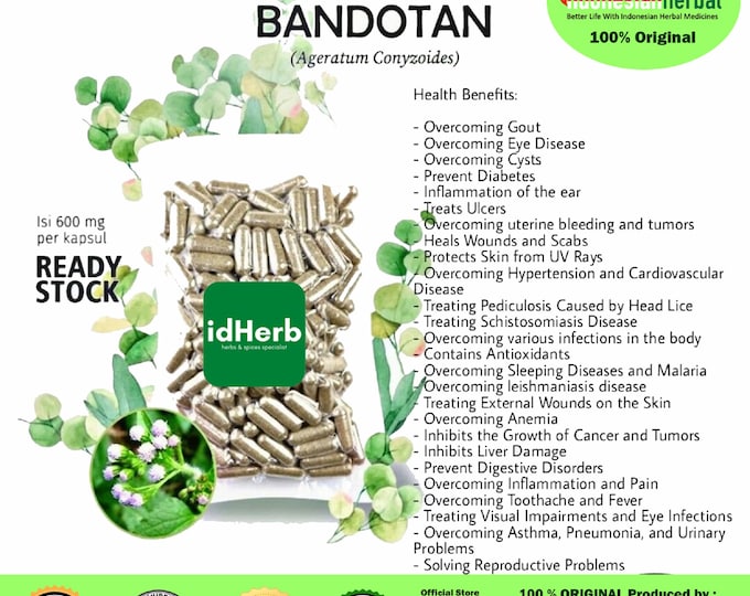 Yellow Ageratum Flower Seeds/lonas Inodora/annual 50 - Etsy