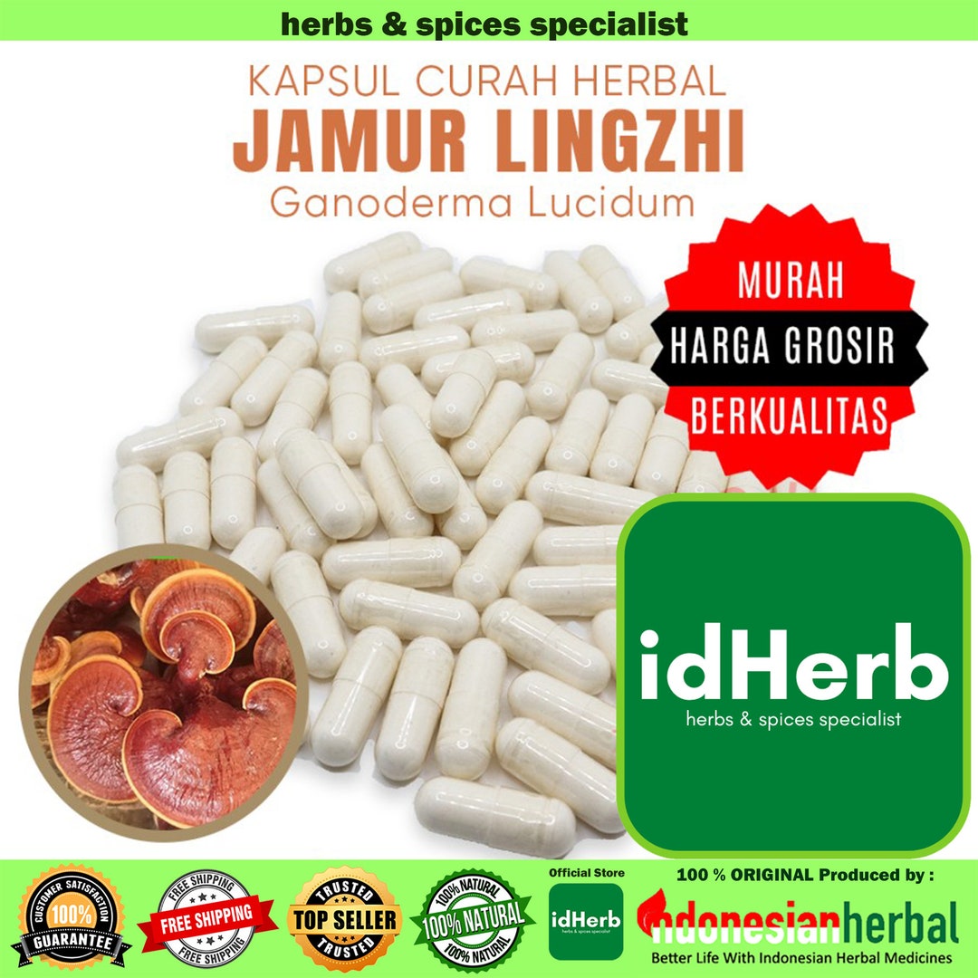 100-500 CAPSULES Ganoderma Lucidum Jamur Lingzhi @600mg for Health All ...