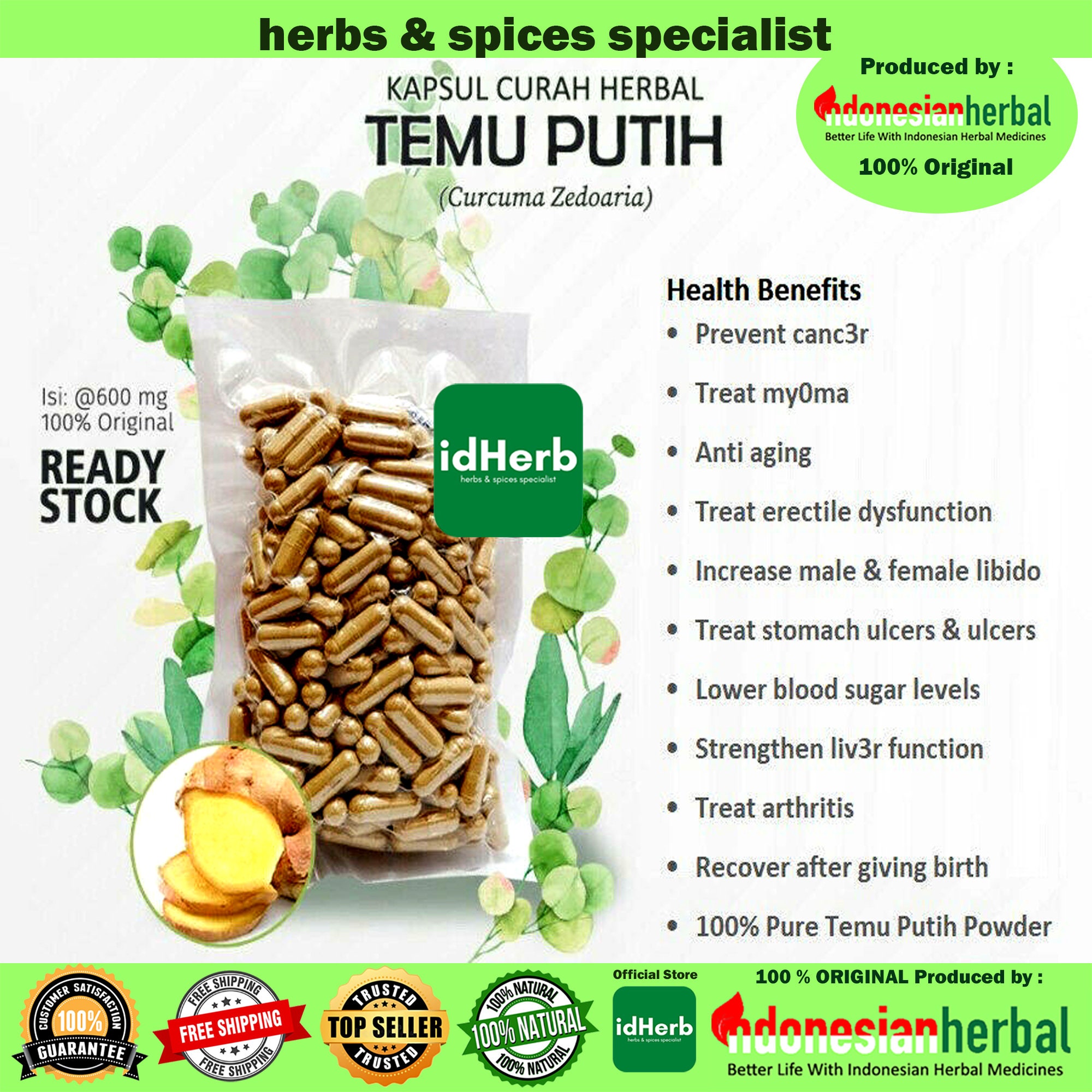 100-500 CAPSULES Curcuma Zedoaria Temu Putih 600mg for Health All Fresh ...