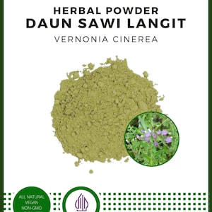 POWDER Purple Fleabane Little Ironweed Inflammation Bush Vernonia ...