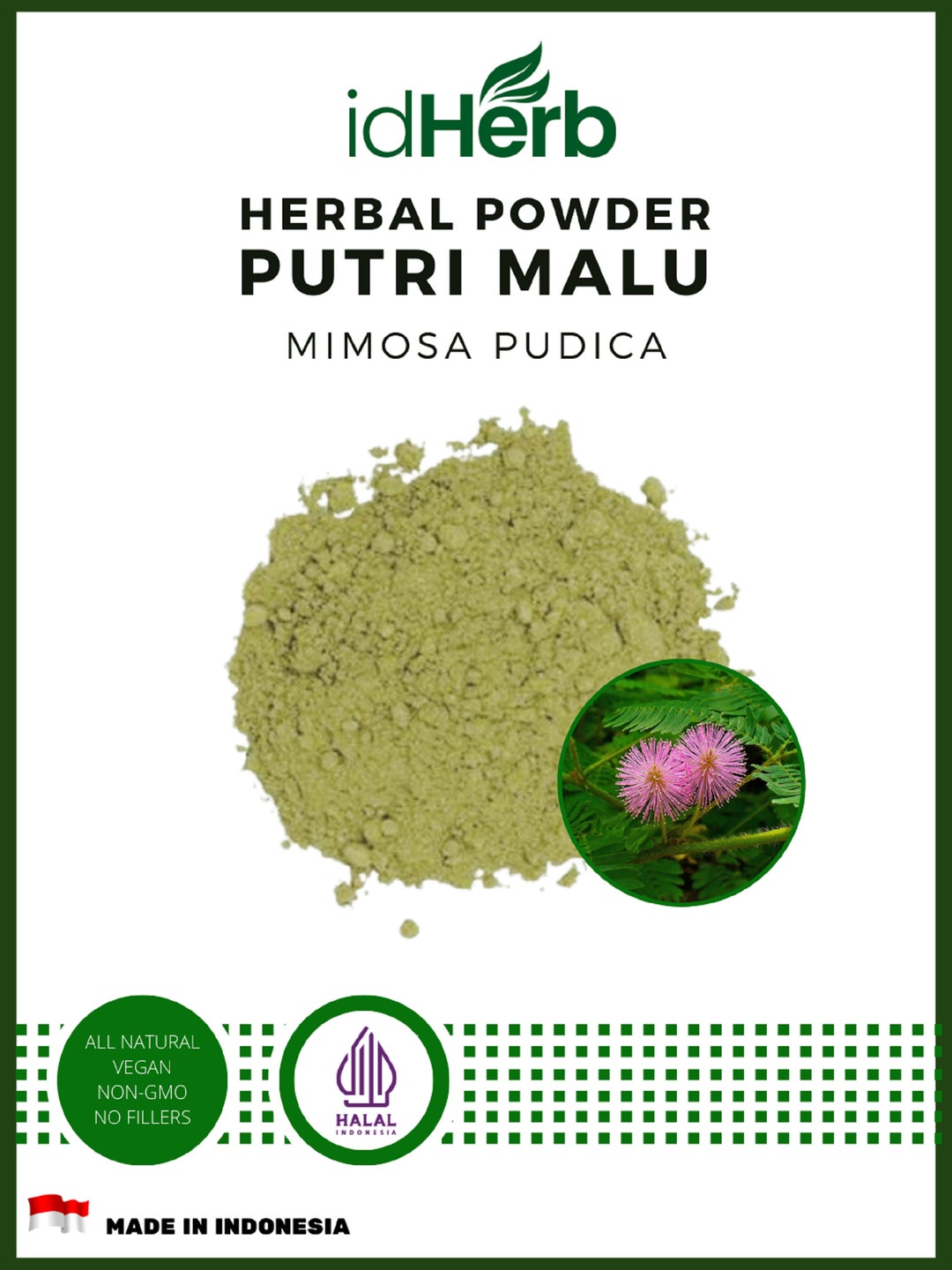 POWDER Sensitive Plant Sleepy Plant Dormilones Mimosa Pudica Herbal All ...