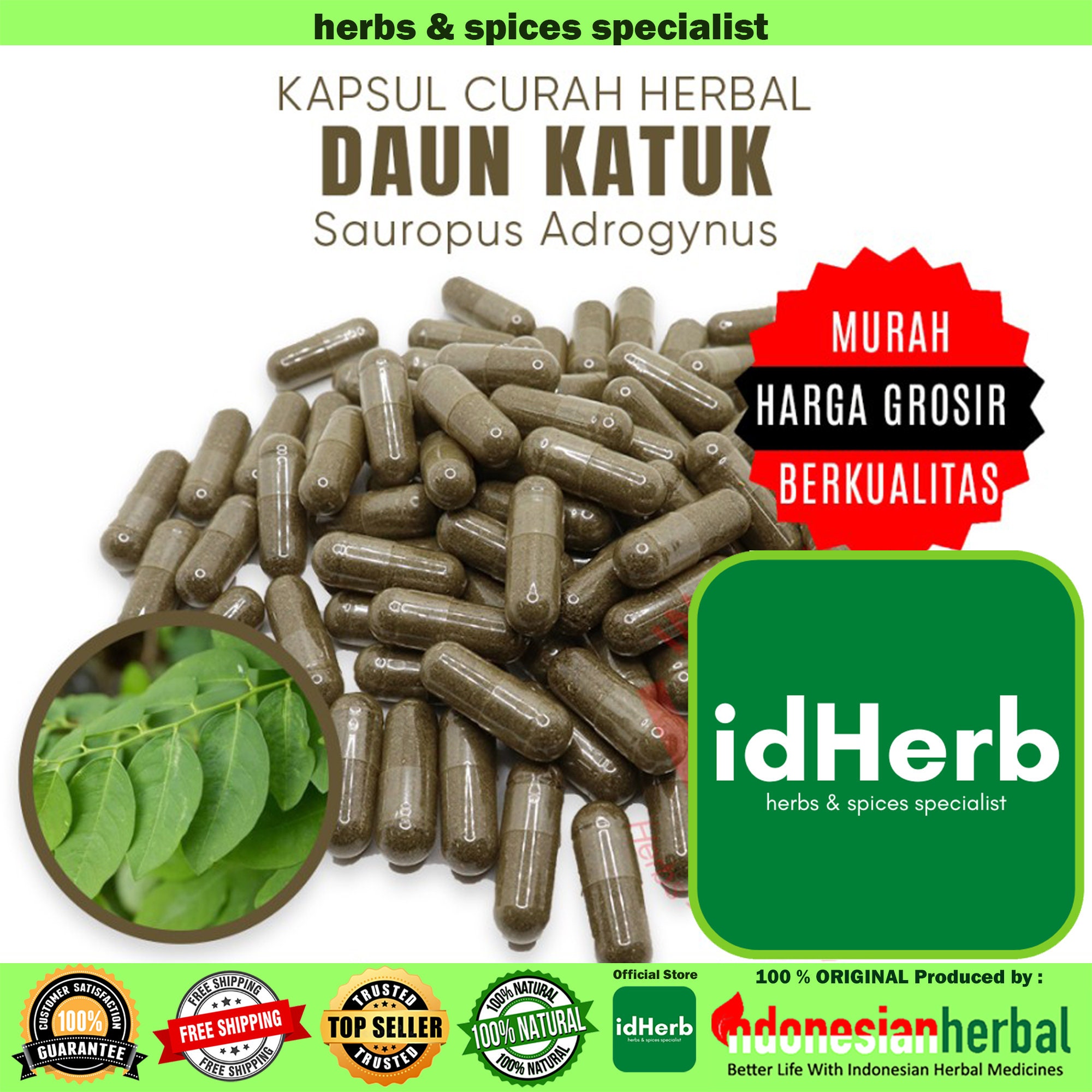 100-500 CAPSULES Sauropus Adrogynus Leaves Katuk Leaf 600mg for Health ...