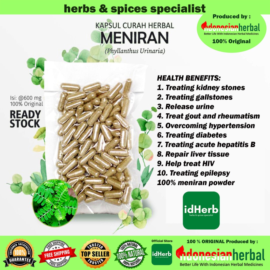 100-500 CAPSULES Meniran Phyllanthus Urinaria @600mg for Health All ...