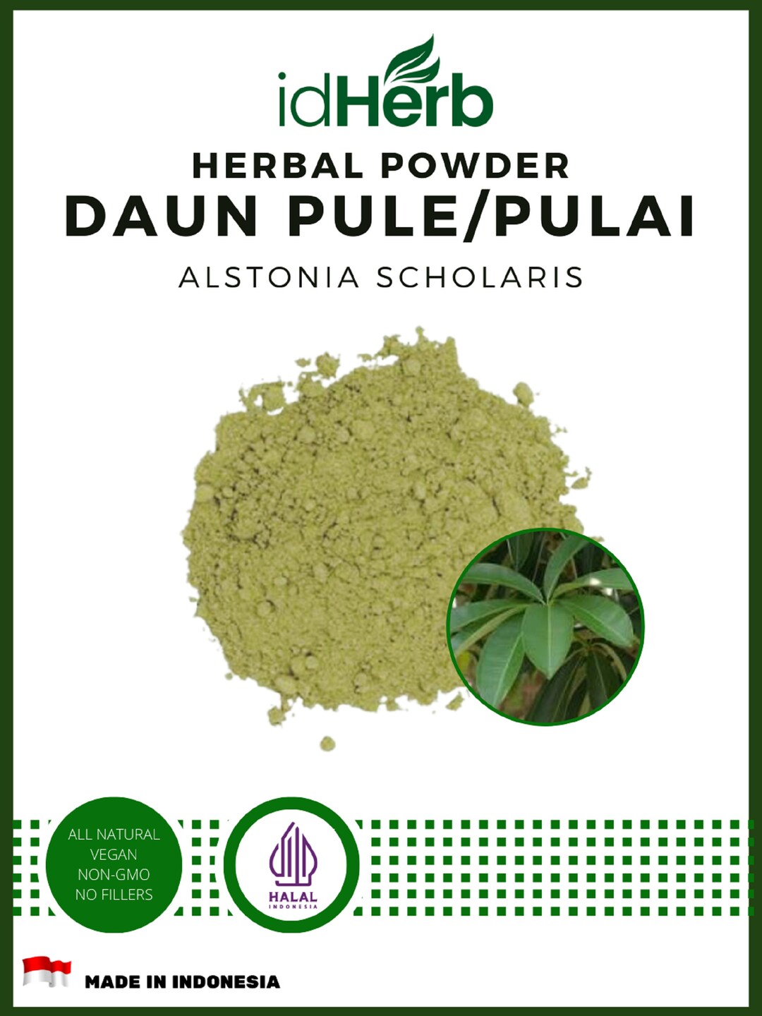 POWDER Devil Tree White Cheesewood Alstonia Scholaris PULAI Daun Pule ...