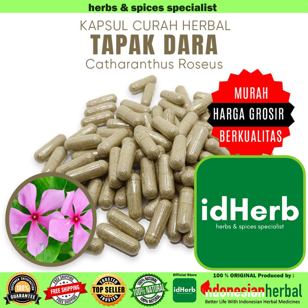 100-500 CAPSULES Catharanthus Roseus Tapak Dara Natural Herbs Spices Indonesian Herb Organic ...