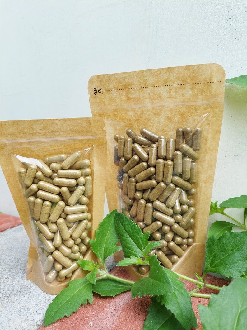 Pure Tongkat Ali Extract Capsules 10x Potency Extract 500 Mg 10:1 ...