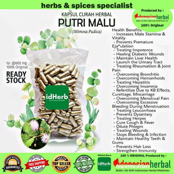 100-500 CAPSULES Mimosa Pudica 600mg Herbal Capsules All - Etsy