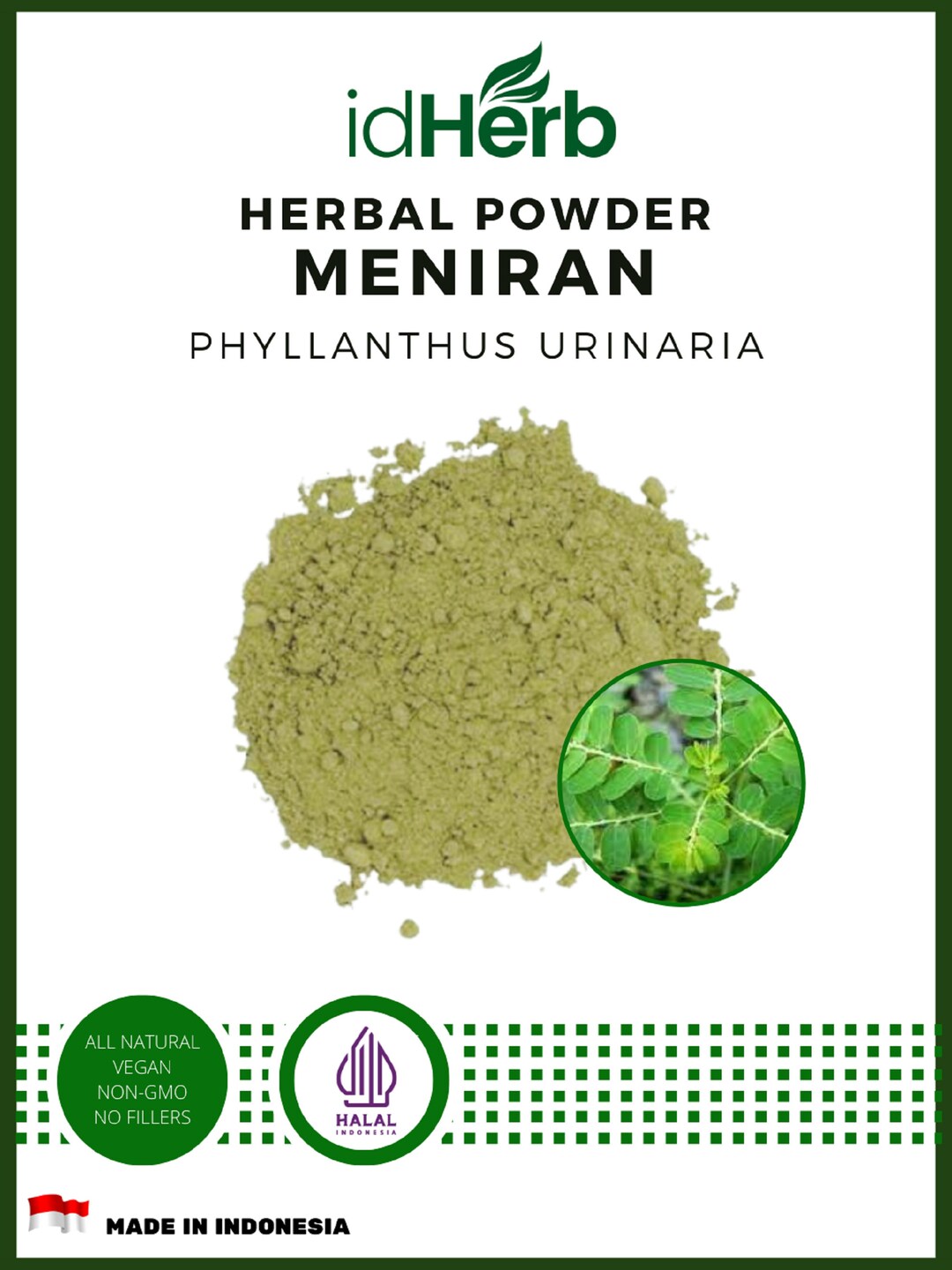 POWDER Meniran Phyllanthus Urinaria Citrifolia All Fresh Natural Herbs ...