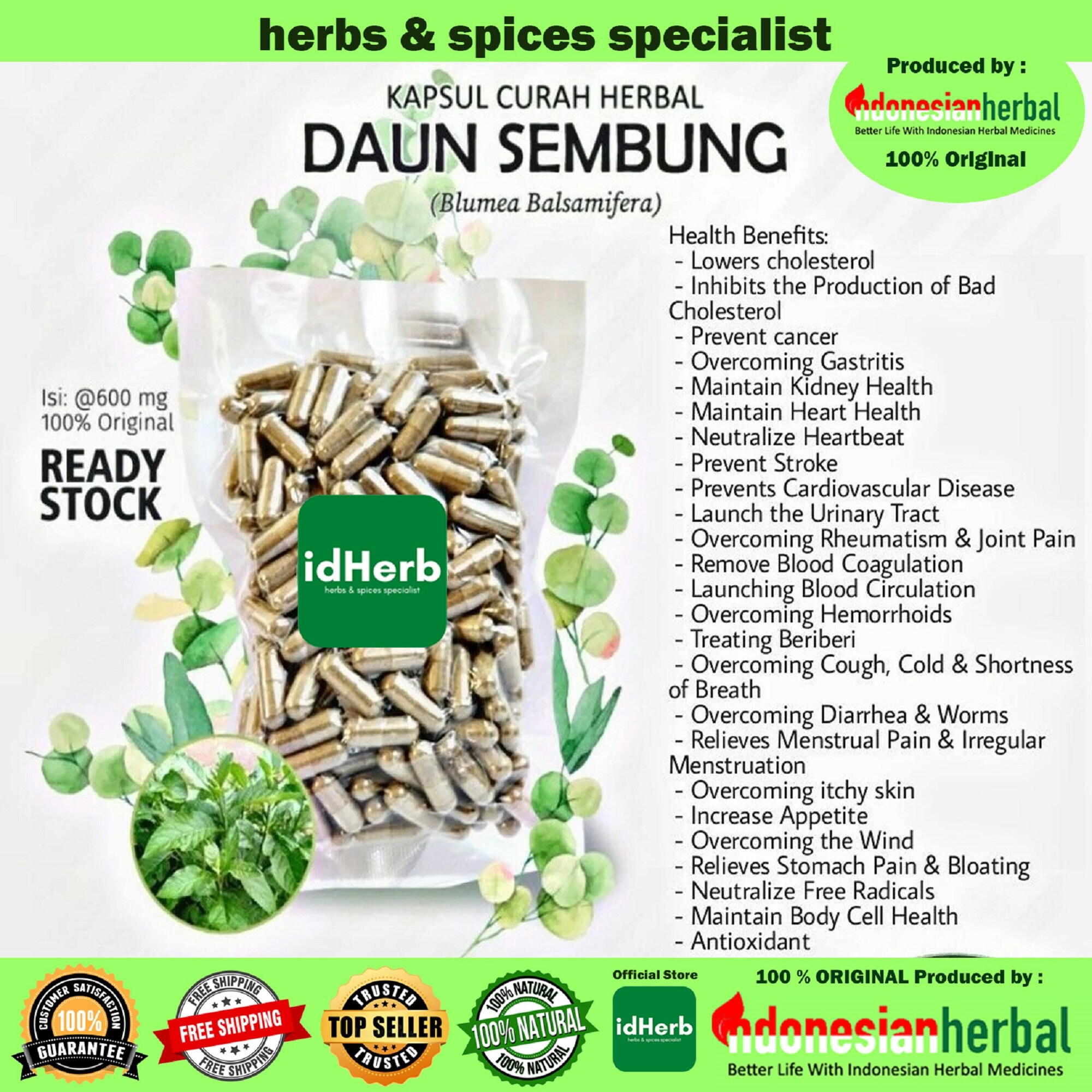 100-500 CAPSULES Blumea Balsamifera 600mg Herbal Capsules All Fresh ...