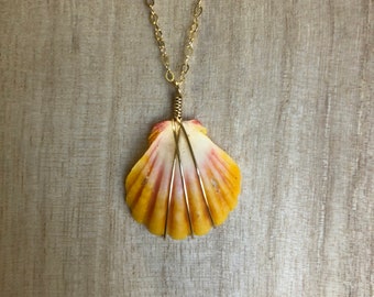Sunrise shell necklace | Etsy