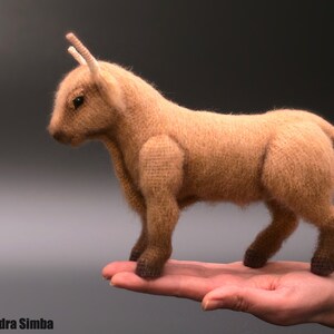 0031 Crochet Pattern Realistic Bull. Red Flame Bull and Highland Bull ...