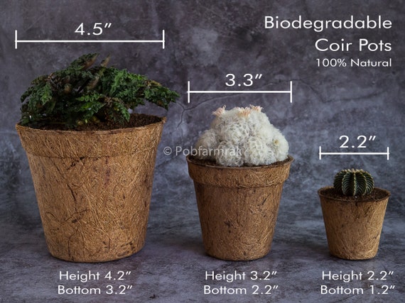 Home & Hobby Floral & Garden Crafts Eco-friendly Planter Pot ...