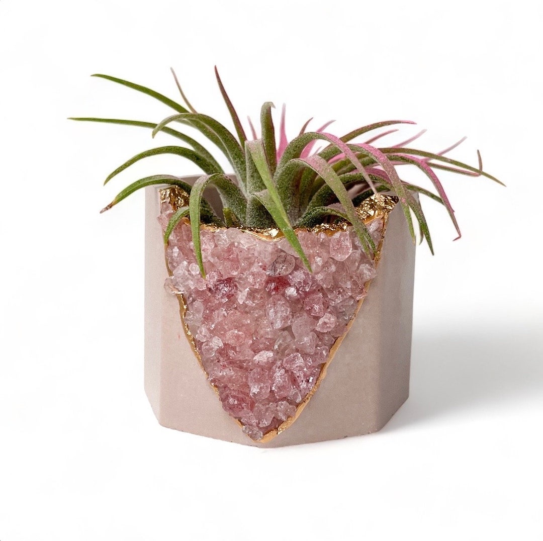 Whimsical Strawberry Quartz Concrete Planter, Cute and Unique Valentine ...