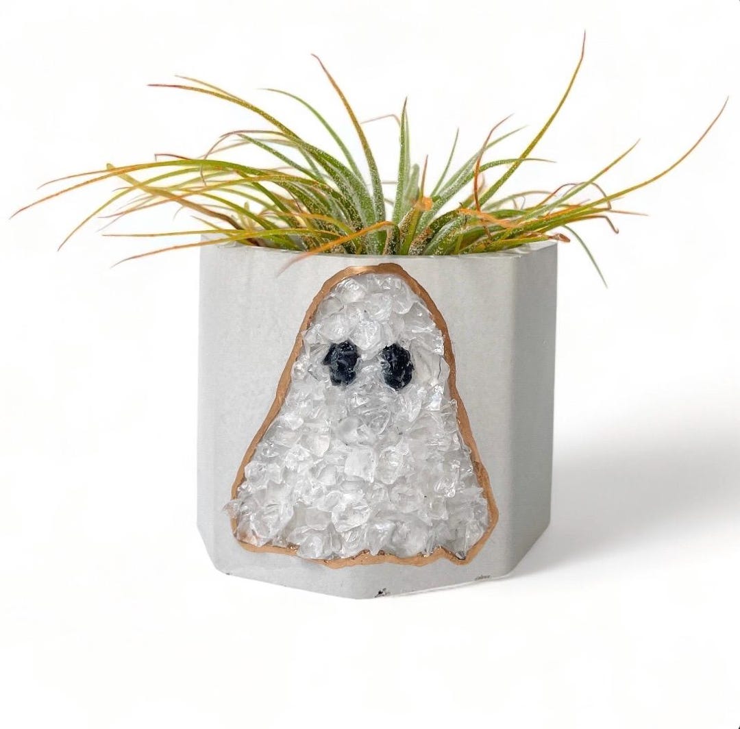 Halloween Ghost Plant Pot Decor, Cute Spooky Planter, Unique Crystal ...