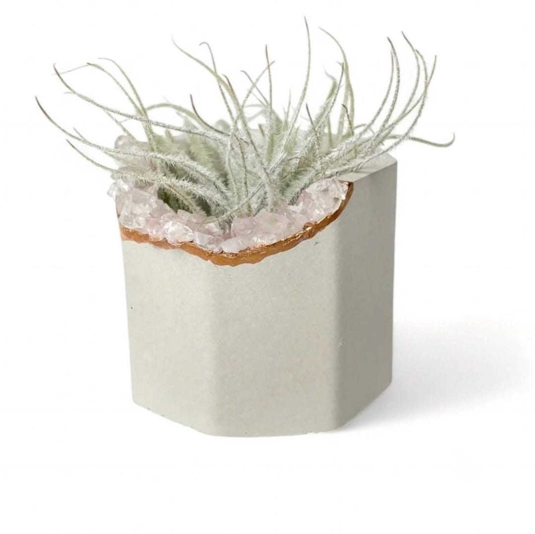 Rose Quartz Crystal Succulent Planter, Modern Geode Air Plant Holder ...