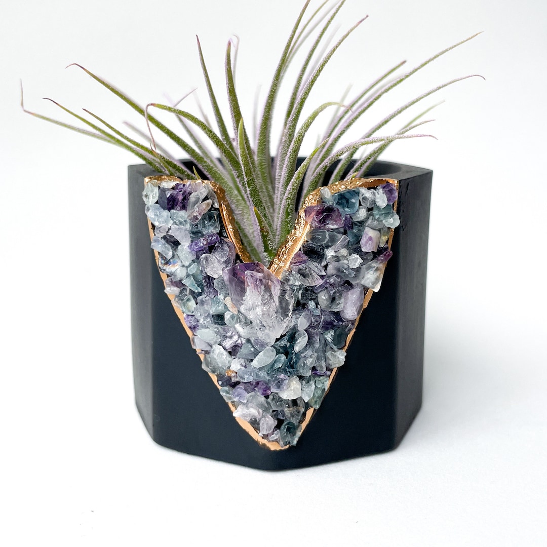 Fluorite Mini Concrete Plant Pot, Concrete Planter for Air Plants and ...