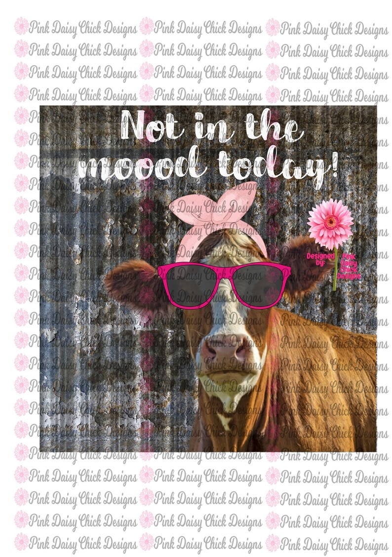 Digital Png/cow/not in the Moood Today/bad Mood Cow/bad Attitude/mad ...
