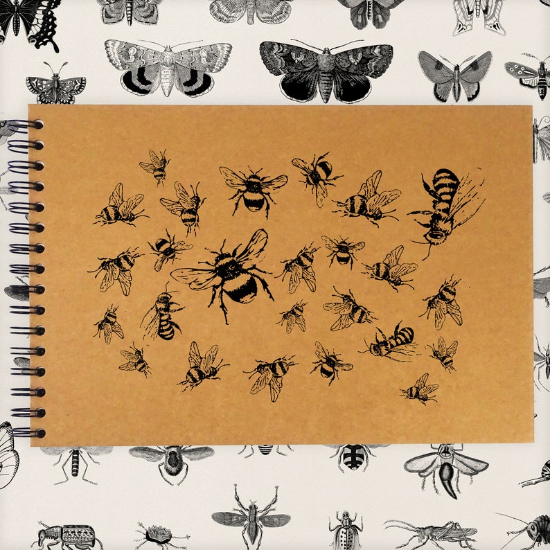 Bee A3/A4/A5 Scrapbook Photo Album Memory Keepsake, Black, Kraft, White ...