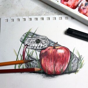 Snake and Apple Tattoo Design Instant Download Spiritual Printable ...