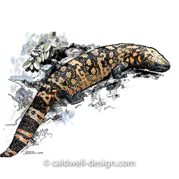 Gila Monster Toy - Etsy UK