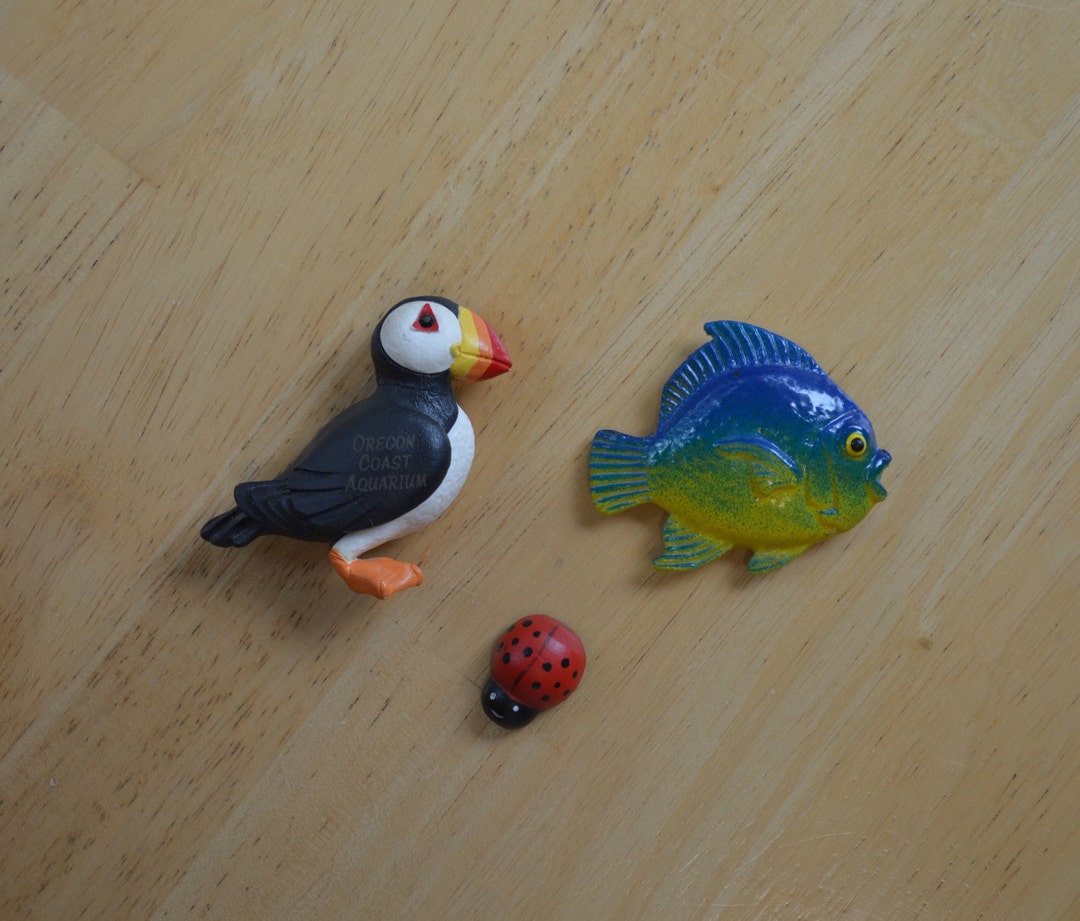 Vintage Refrigerator Magnets---fish Magnet---bird Magnet---ladybug ...