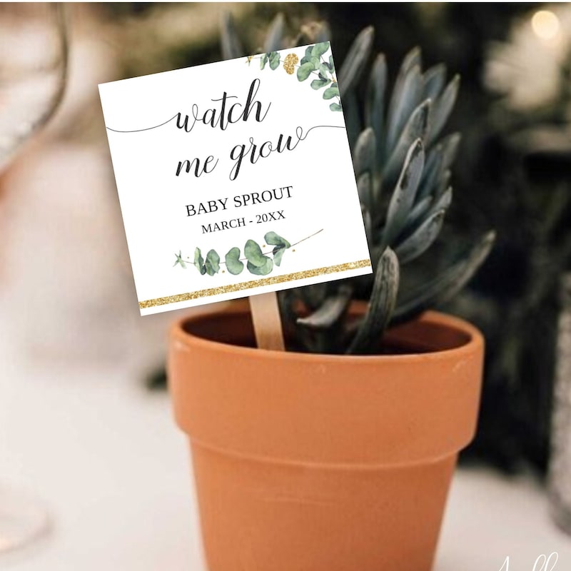 Baby Shower Succulent Tag - Etsy