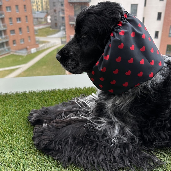 Cavalier Dog Snood - Etsy