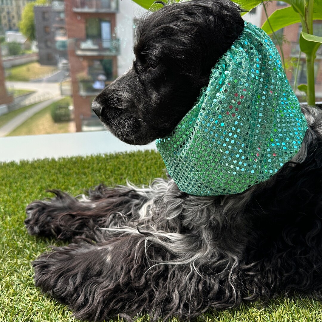Shiny Dog Snood - Snoods for Long-eared Dogs - Afghan, Greyhound Snood ...