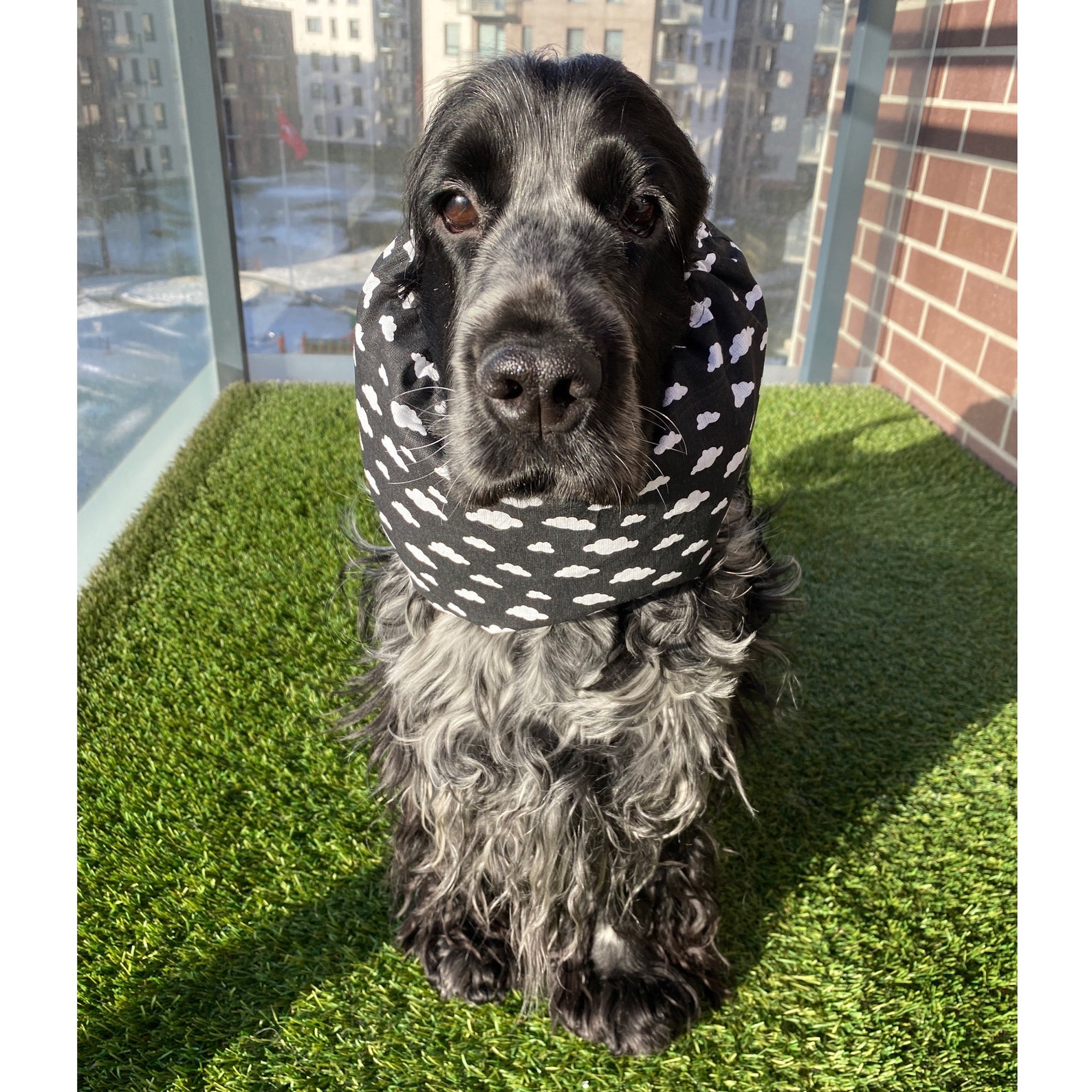 Cotton Dog Snood Snoods for Long-eared Dogs Ear Protector - Etsy