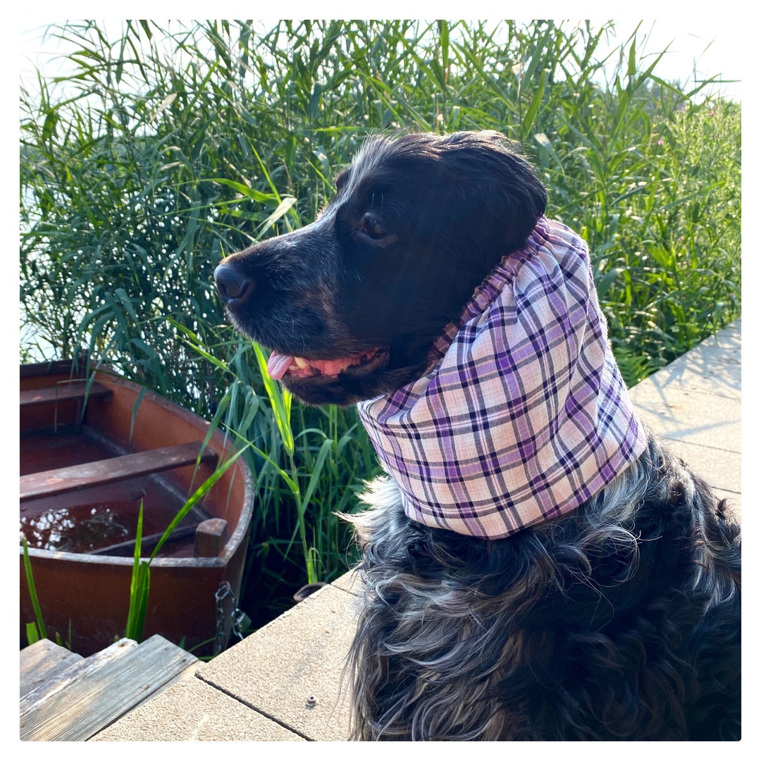 Snood de perro de algodón púrpura - Snoods para perros - Snood de perro ...