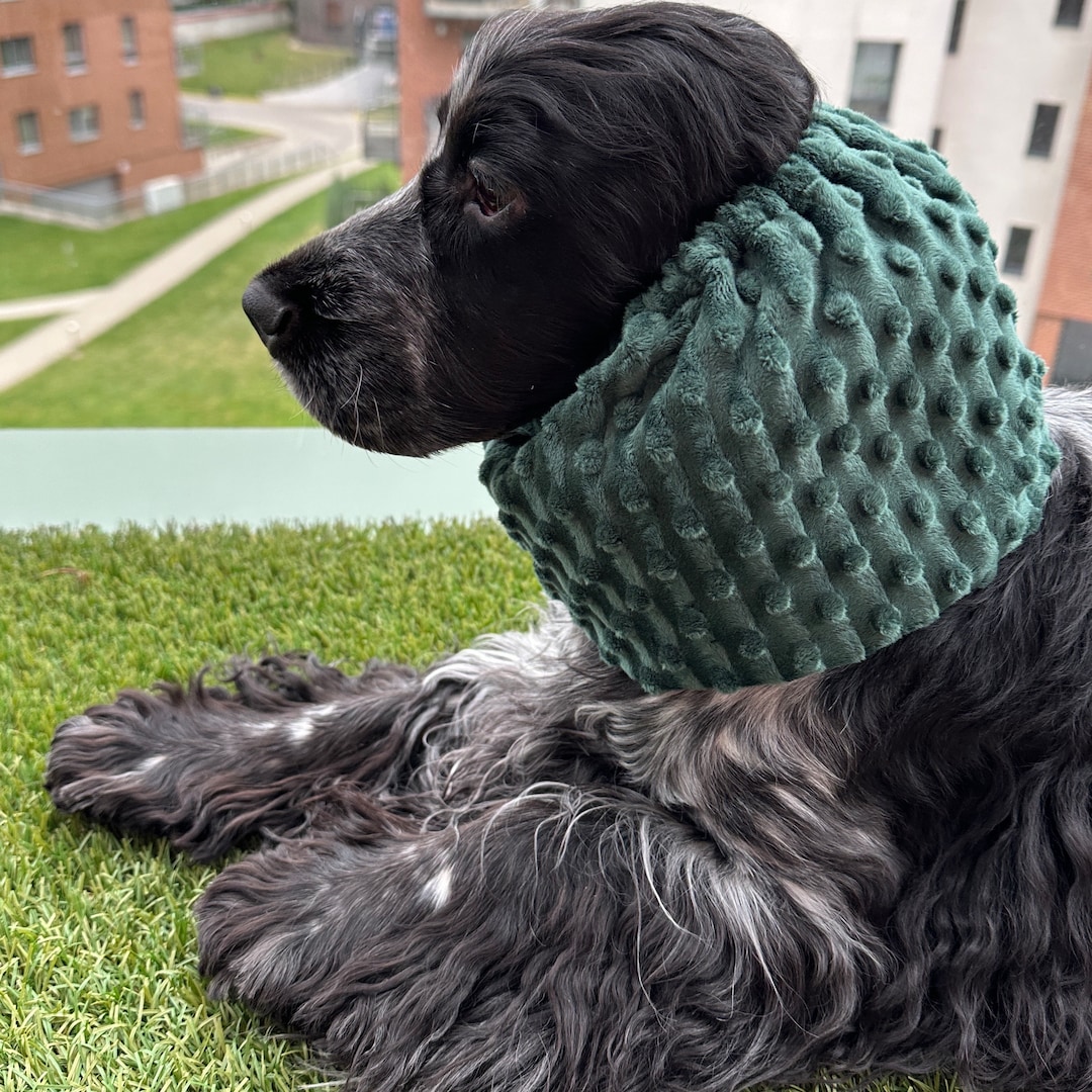 Forest Green Minky Soft Dog Snood - Cotton Dog Snood - Snoods for Dogs ...