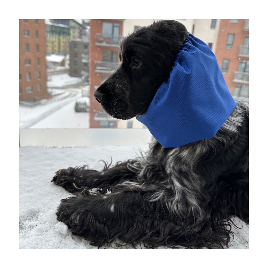 Blue Waterproof Thick Dog Snood - Ear Protector - Waterproof Snood for ...