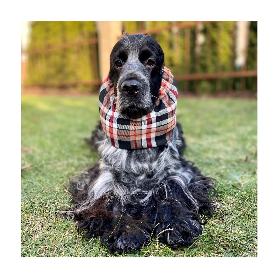 Tartan Snood - Warm and Soft Dog Snood - Winter Dog Snood - Cocker ...