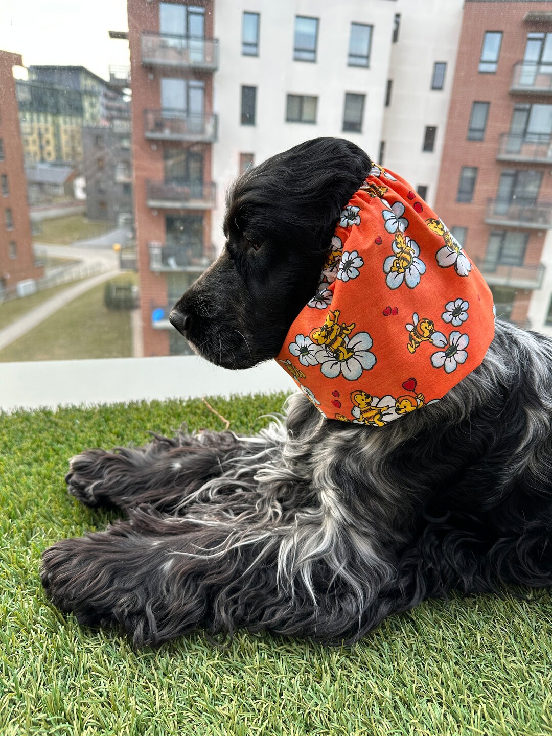 Cotton Dog Snood 'bees and Flowers' - Cavalier Cocker Basset Poodle ...