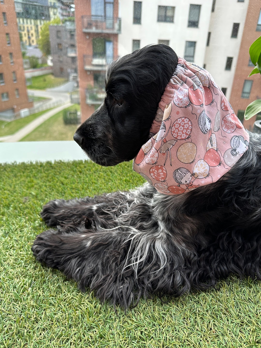 Cotton Snood Summer Dog Snood Light Cotton Dog Snood Cocker Cavalier ...