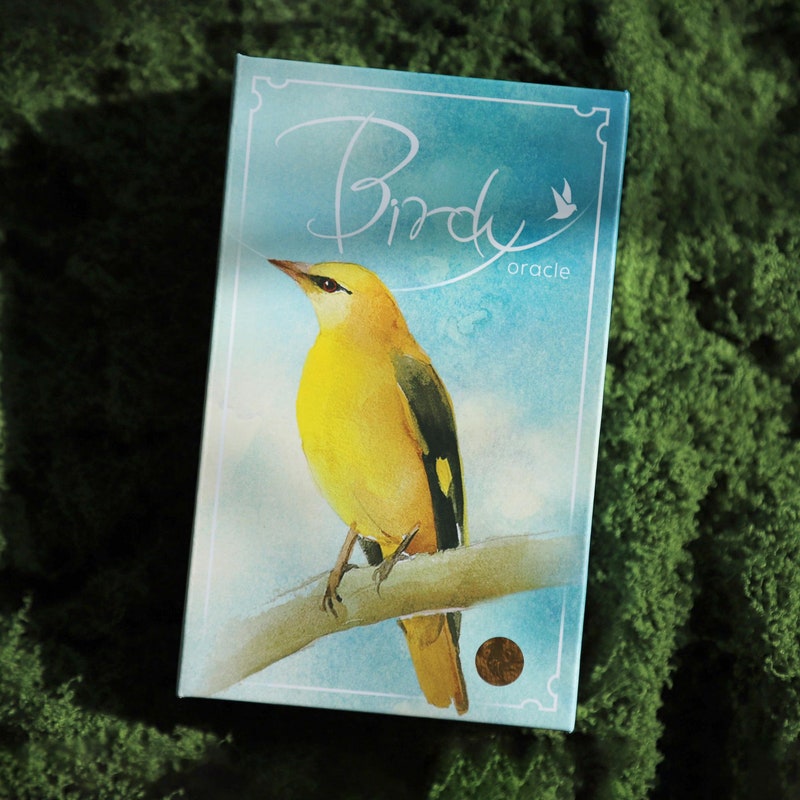 Bird Oracle Cards - Etsy