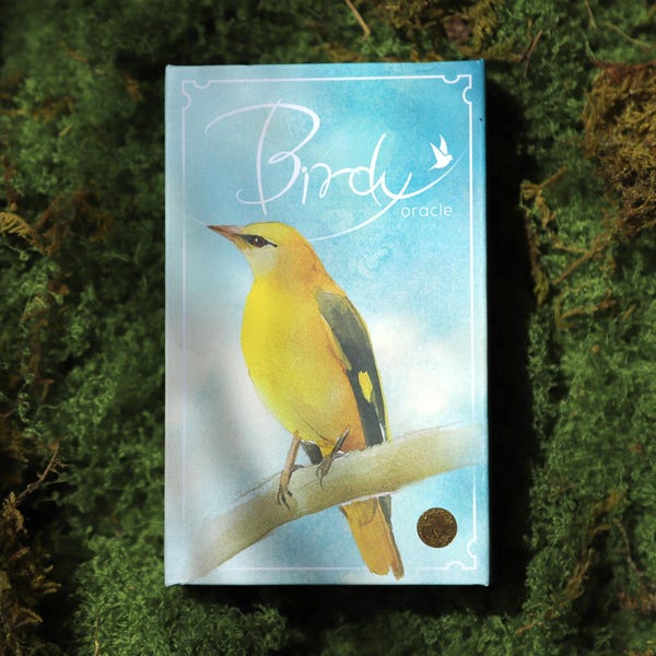 Bird Oracle Cards - Etsy
