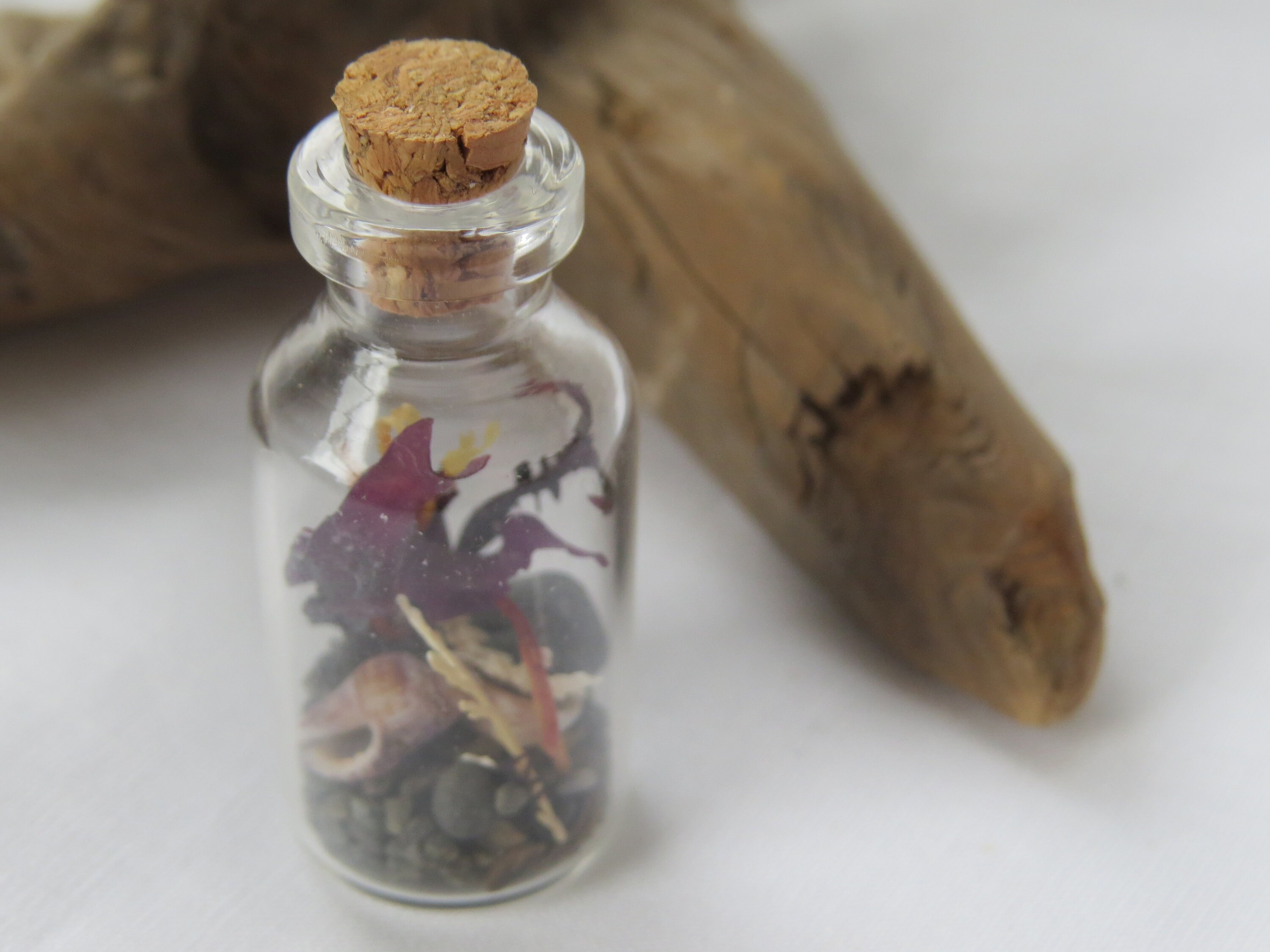Beach in a Bottle ~ Pacific Northwest ~ Summer Flourish ~ Seaweed ...