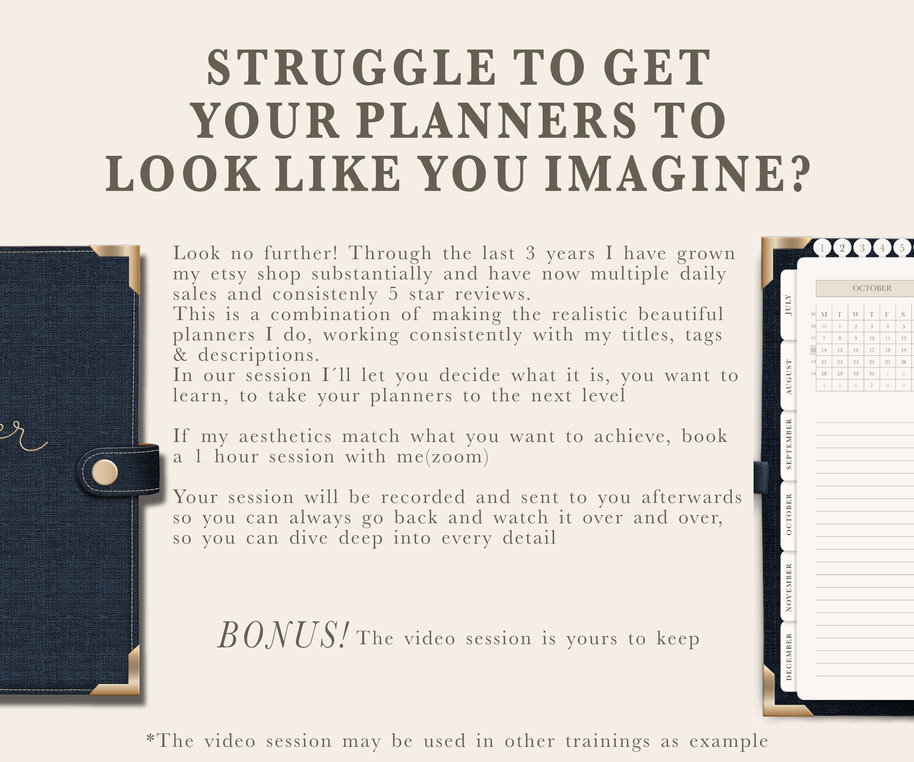 Digital Planner Coaching Session, 1 Hour Coaching Zoom Call, Affinity ...