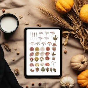 Autumn Stickers, Autumn Clipart, Harvest Stickers, Fall Clipart, Fall ...