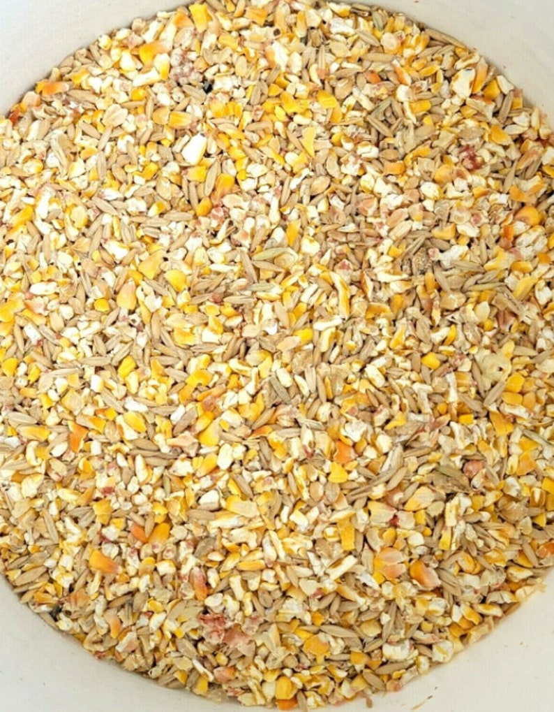 Scratch Grains 5 Lbs Chicken Duck Rooster Wild Bird Rabbit Hamster ...