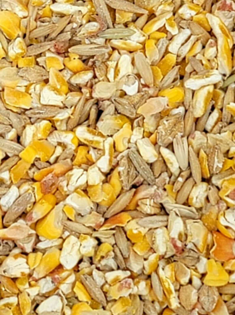 Scratch Grains 5 Lbs Chicken Duck Rooster Wild Bird Rabbit Hamster ...
