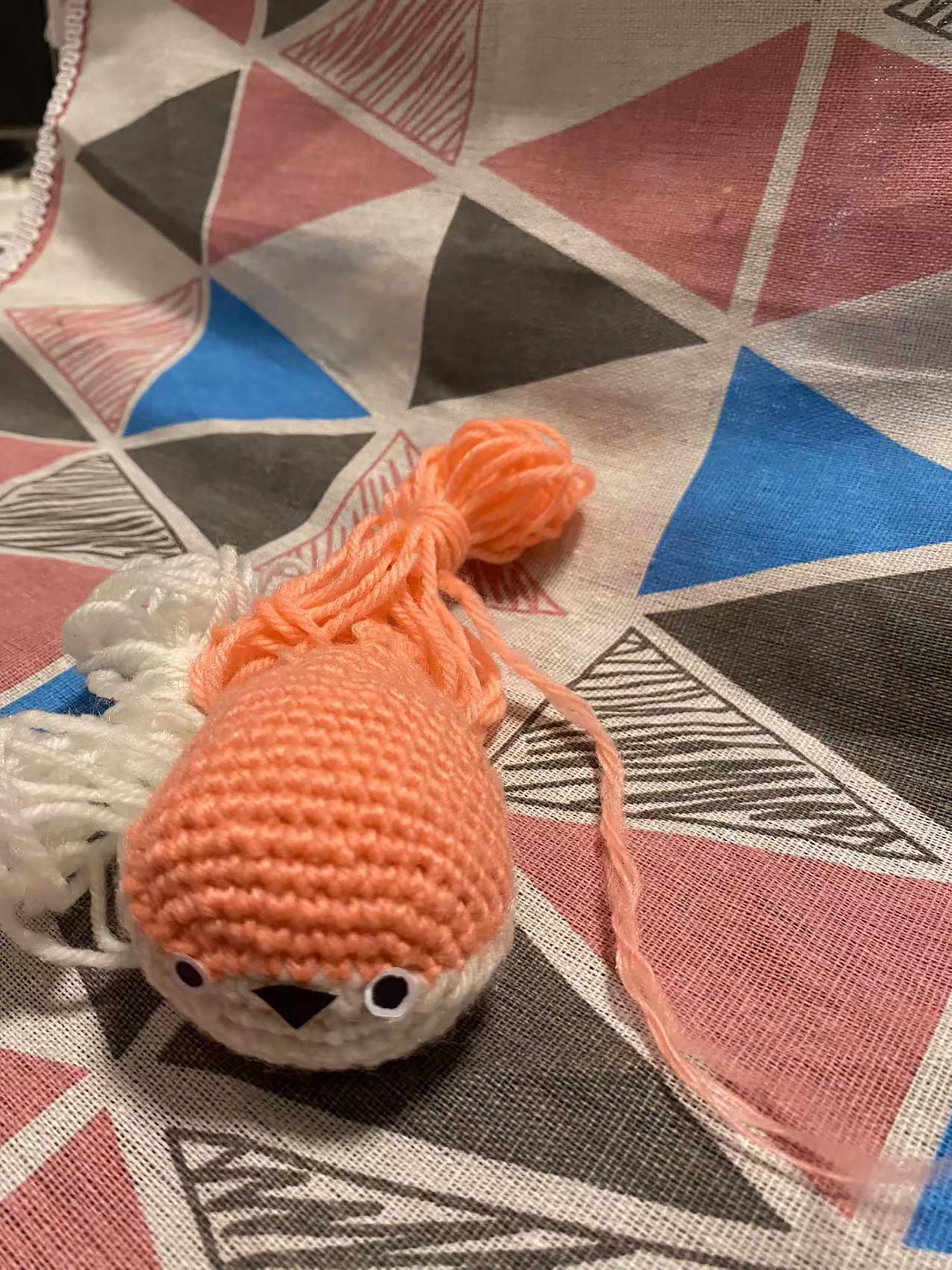 Cute Sacabambaspis Fish Crochet Pattern - How to Crochet Sacabambaspis ...